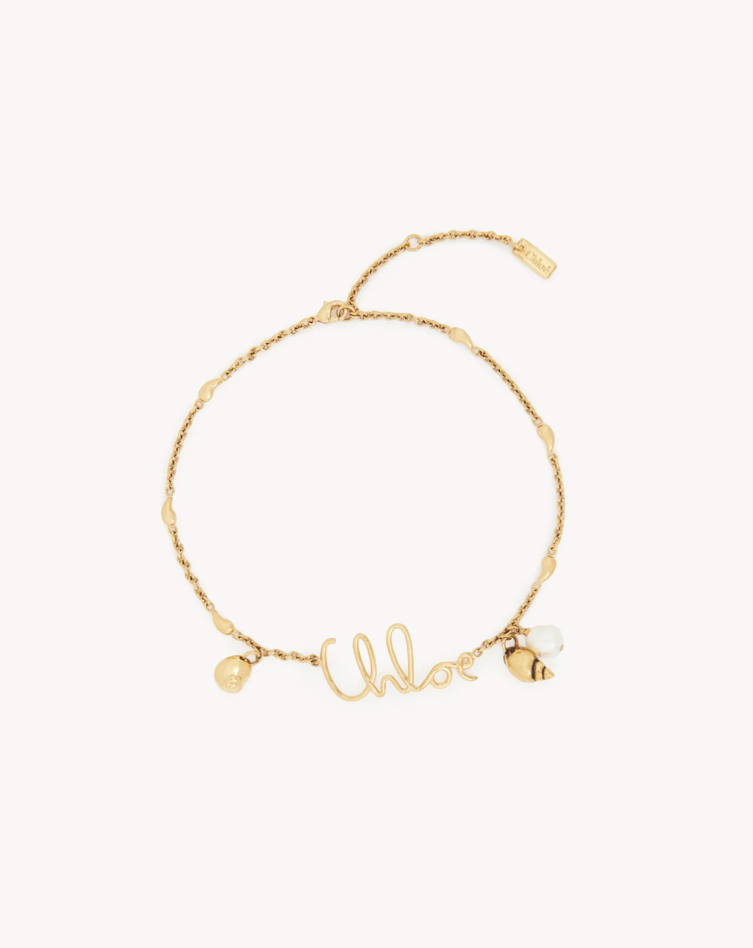 COLLAR SHELLS CHLOE - PERCHA SANTANDER